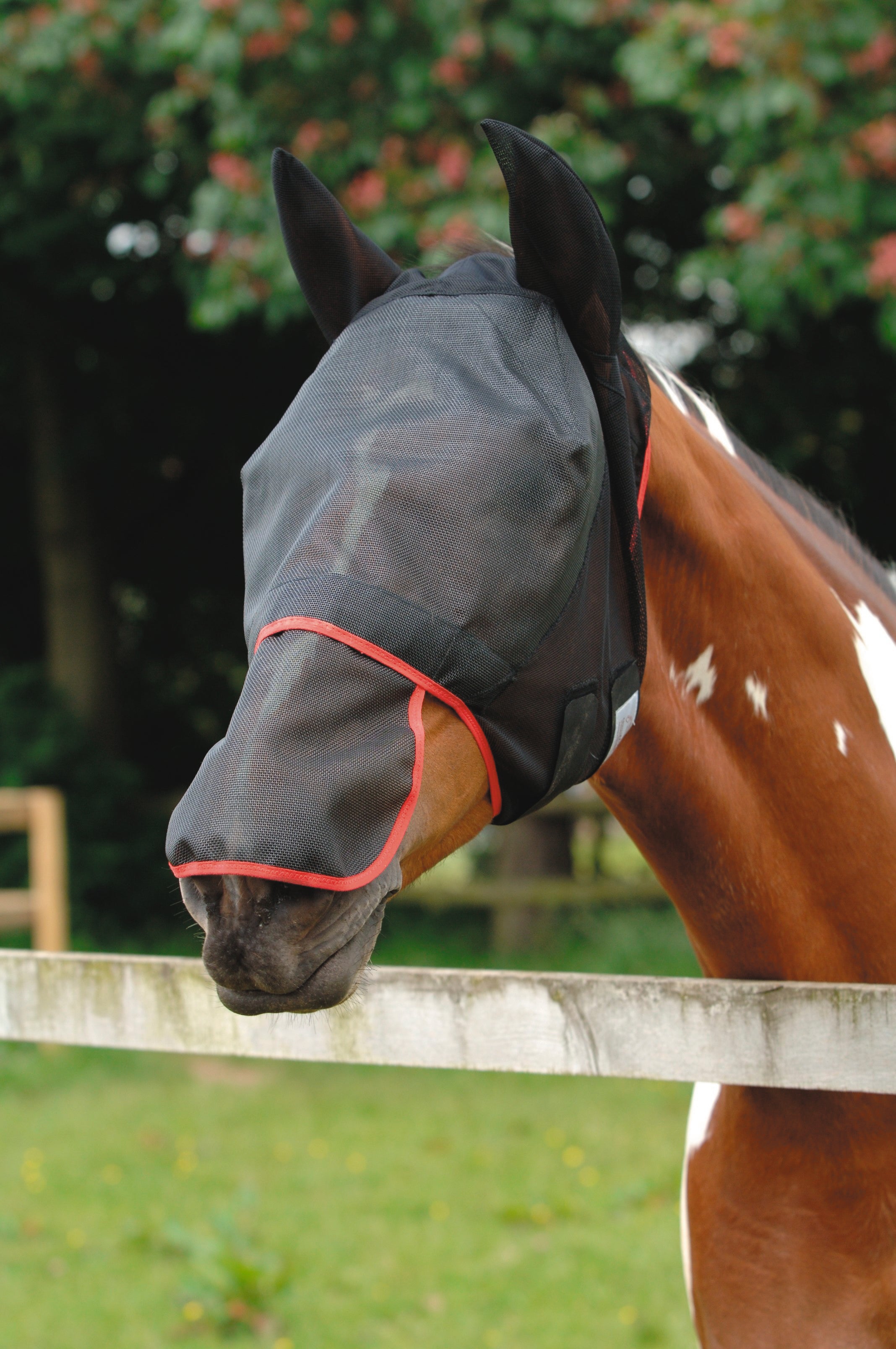 Fly Masks & Sun Shields - Premier Equestrian