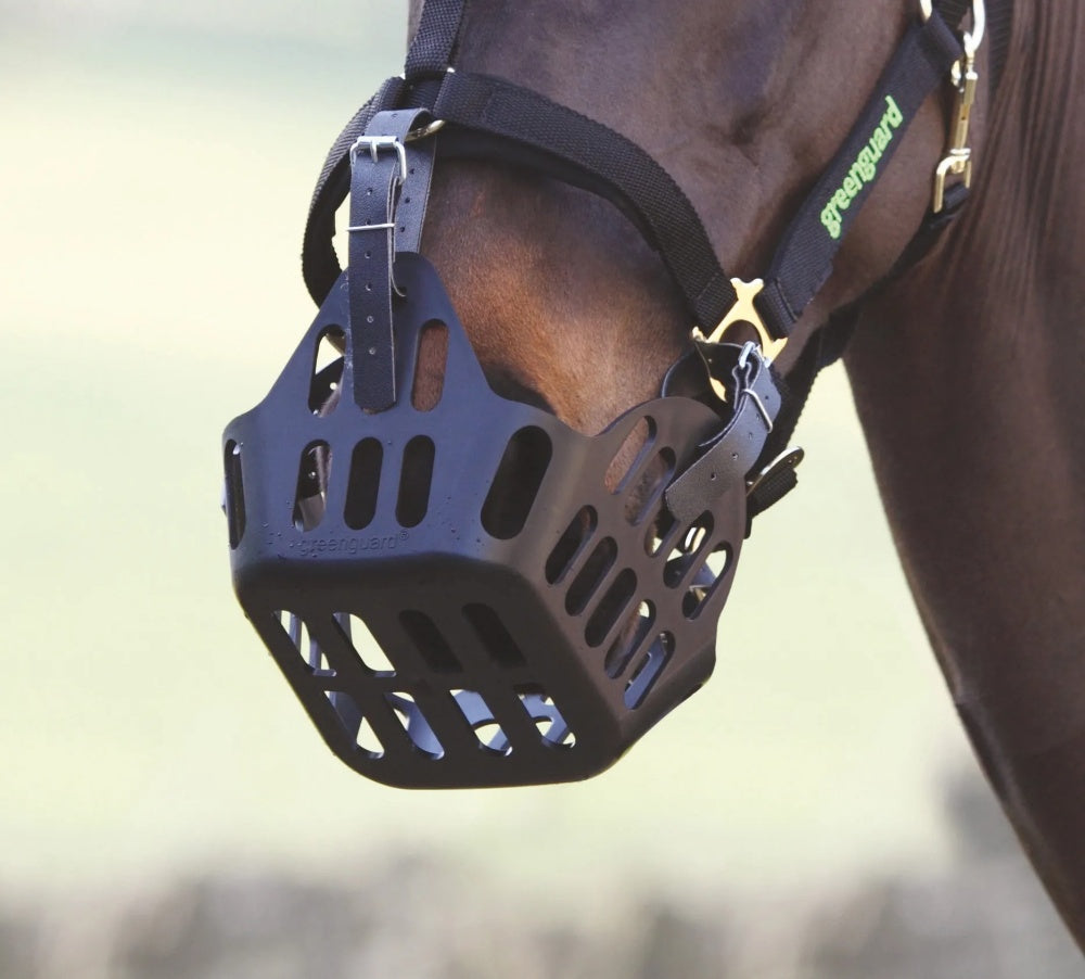 Greenguard Grazing Muzzle and optional Headcollar - Premier Equestrian