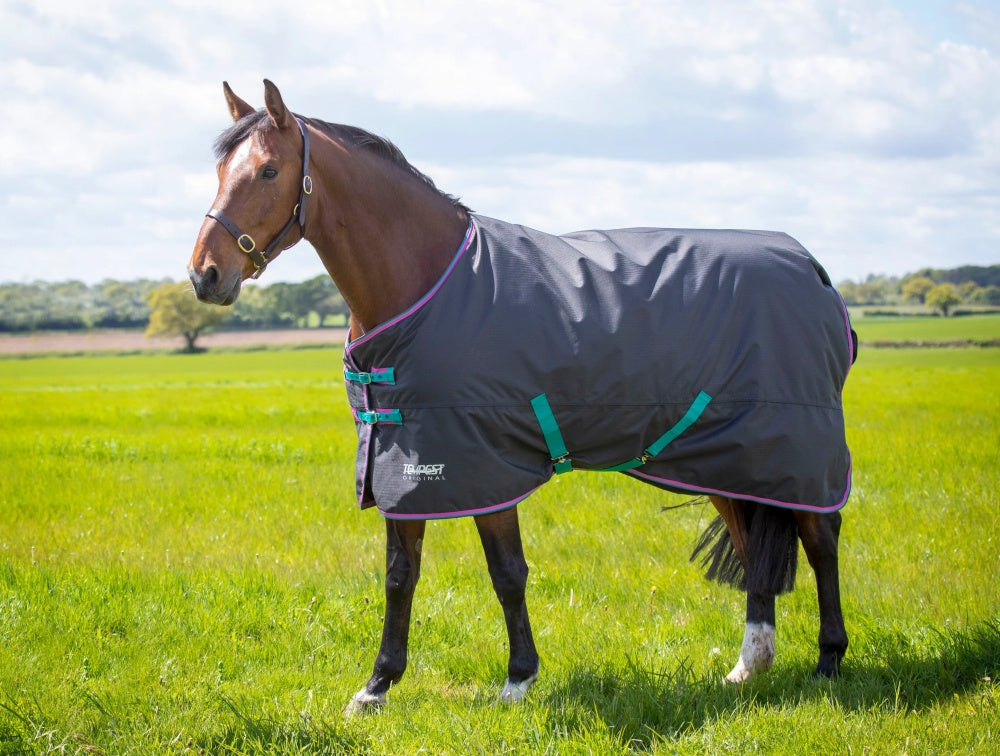 Shires Tempest Original 300 Turnout Rug - Premier Equestrian