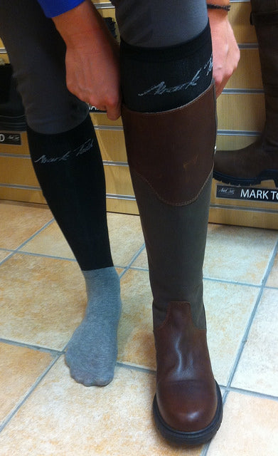 Mark Todd Competition Socks - Premier Equestrian