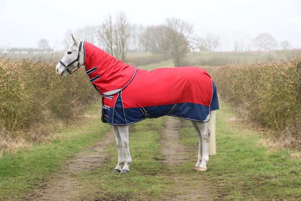 Hy DefenceX System 200g Turnout Rug with Detachable Neck - Premier ...