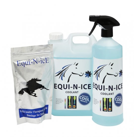Equi-N-icE Recharge - Premier Equestrian