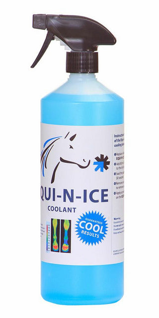 Equi-N-icE Recharge - Premier Equestrian